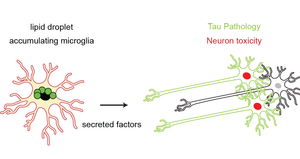 Research — Haney Lab | UPenn
