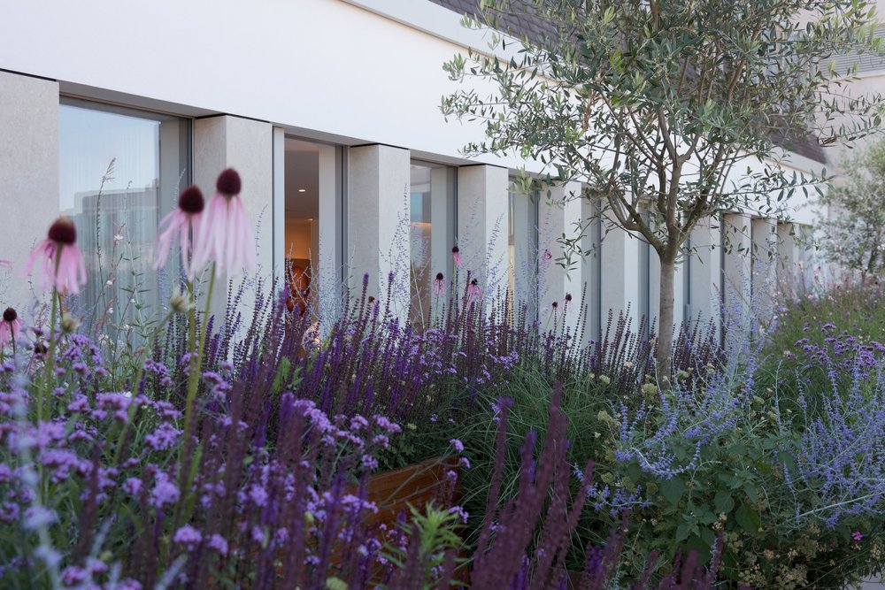 Alex Cochrane Architects