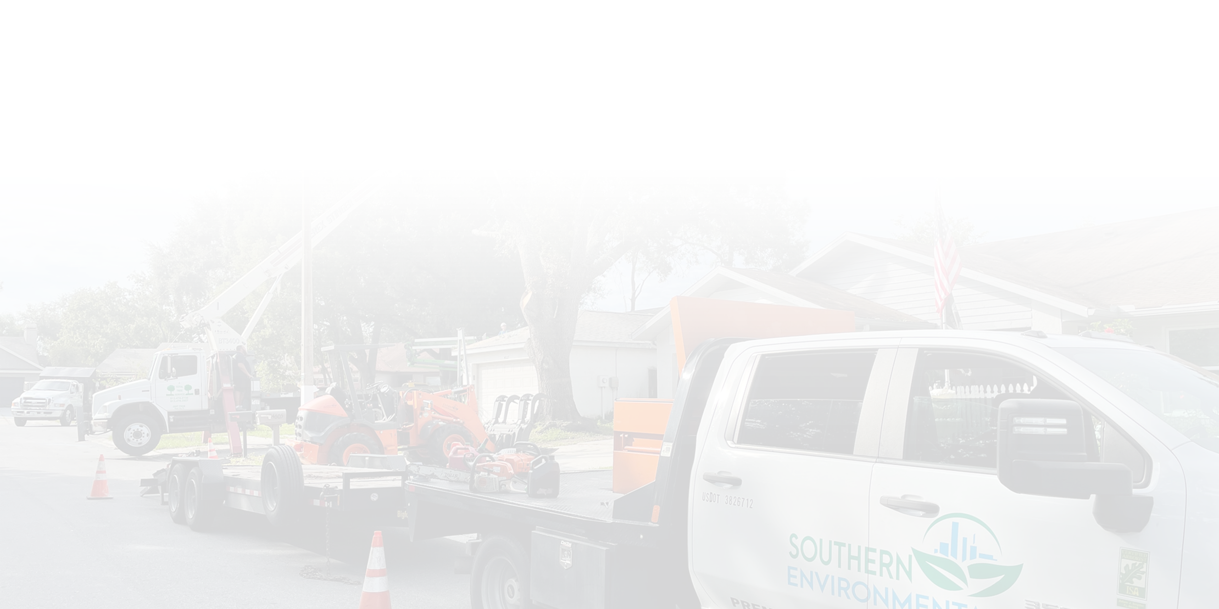 Tree Services — Southern Environmental