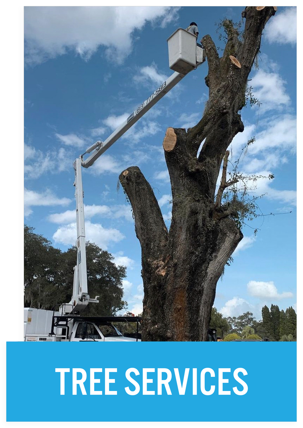 Southern Environmental | Tree & Land Services