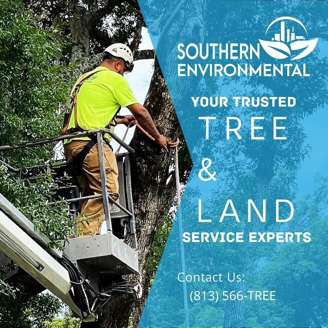 Our Team — Southern Environmental