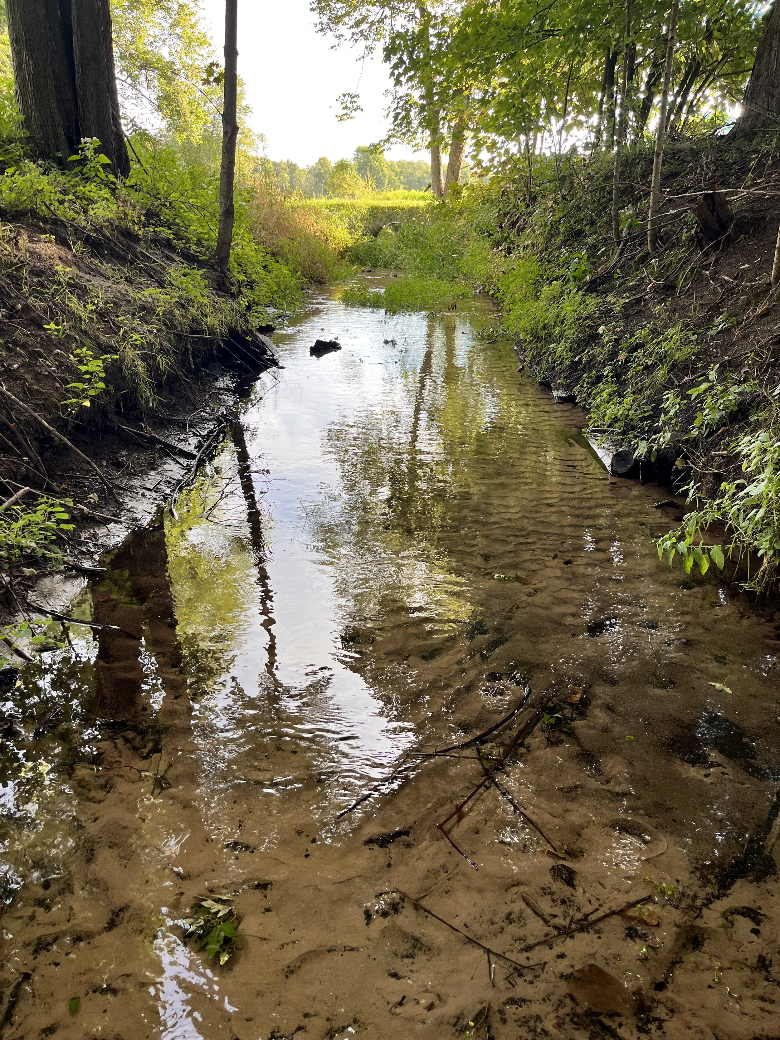 Water Quality — Muskegon Conservation District