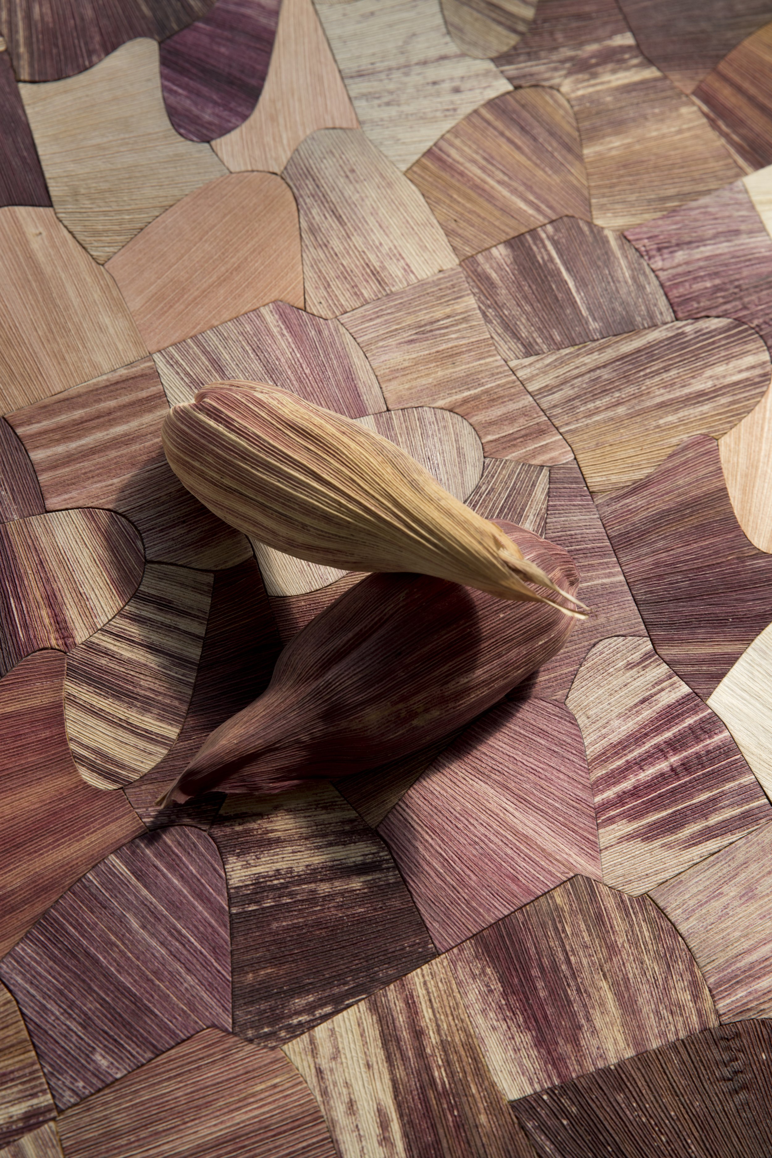 Fernando Laposse is a Mexican designer with a degree in product design ...