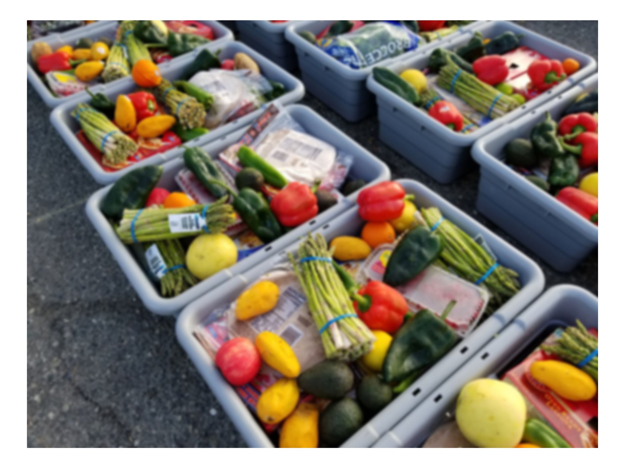 Family Food Boxes | Support Families Today — Get Involved — City ...