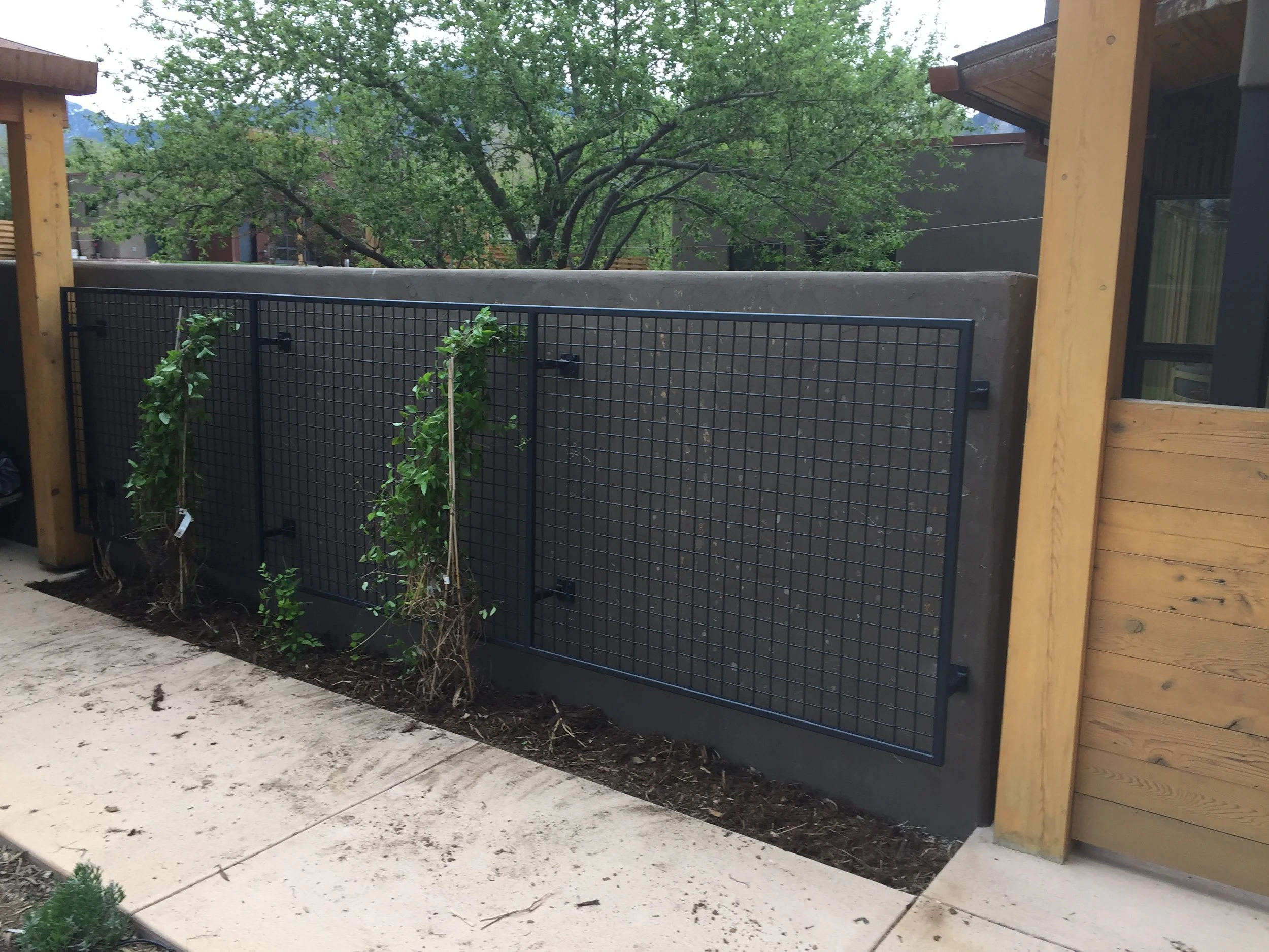 Custom Garden Trellises — McLean Forge & Welding | Hand-crafted metal works