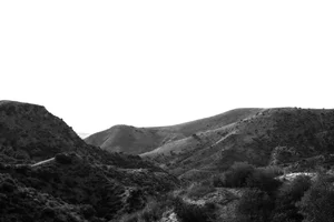 jaketimberlakedesign