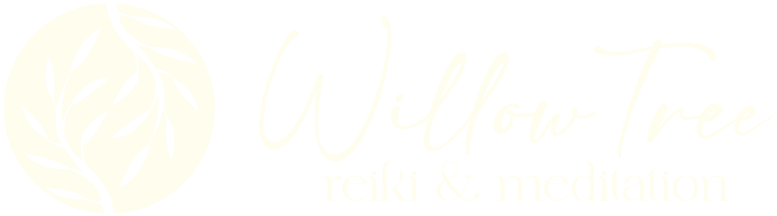Book a Class — Willow Tree Reiki & Meditation