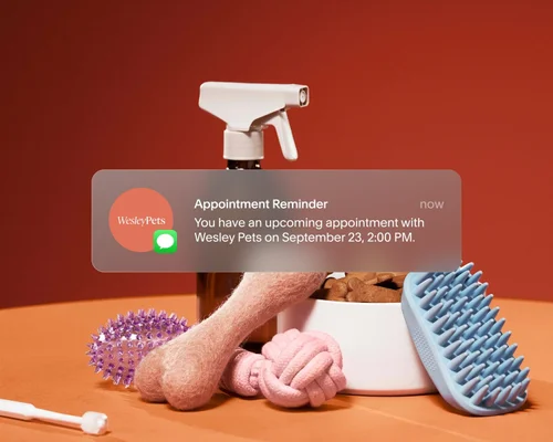 10 Appointment Reminder Templates (Text & Email Examples) - Acuity ...