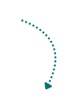 NPE Network