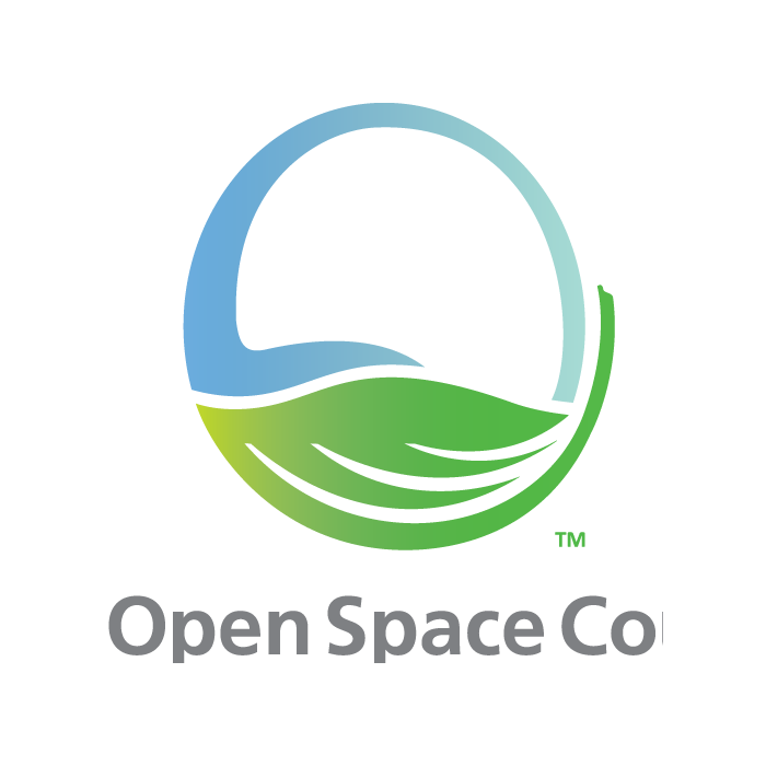 Open Space STL