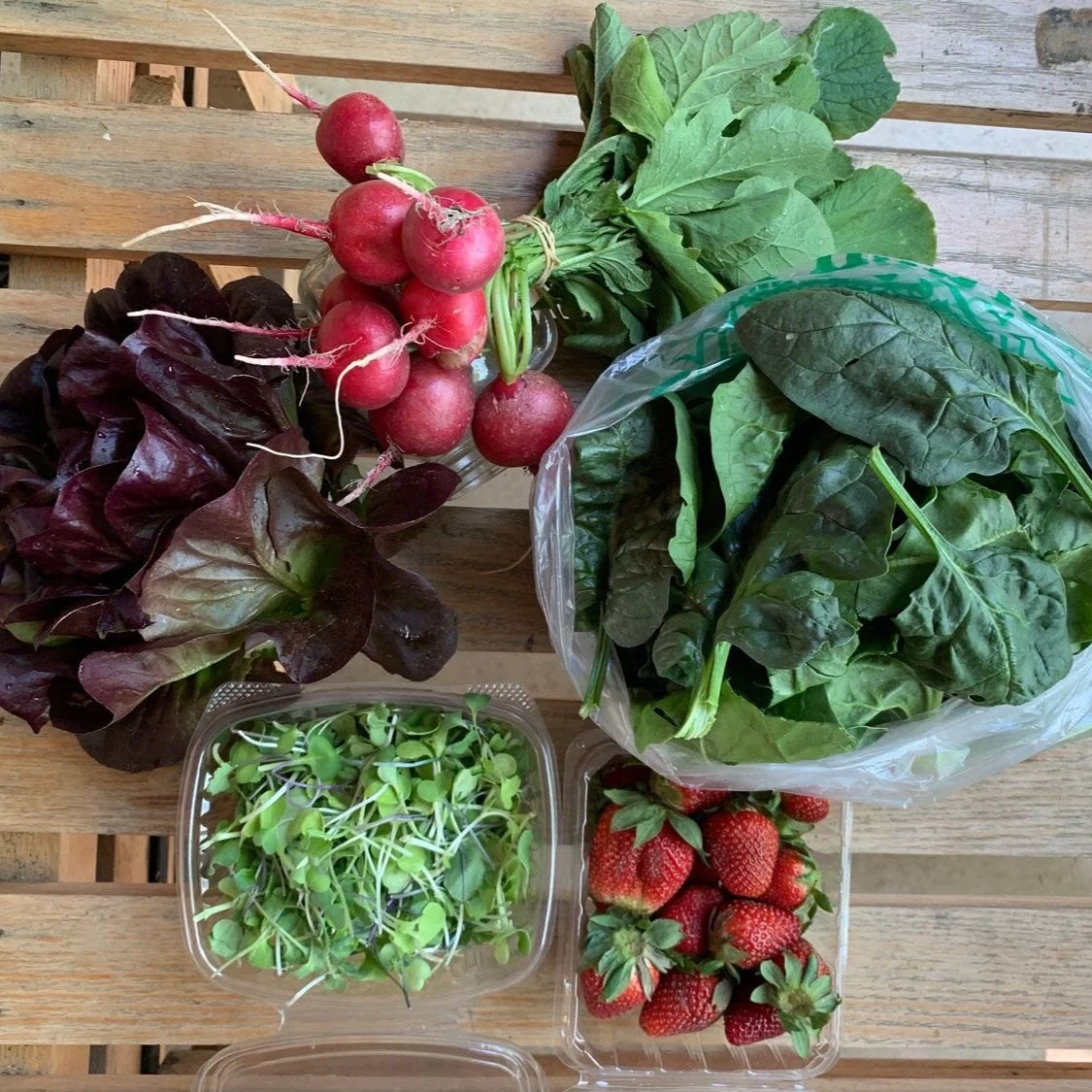 CSA — Jenny Jack Farm