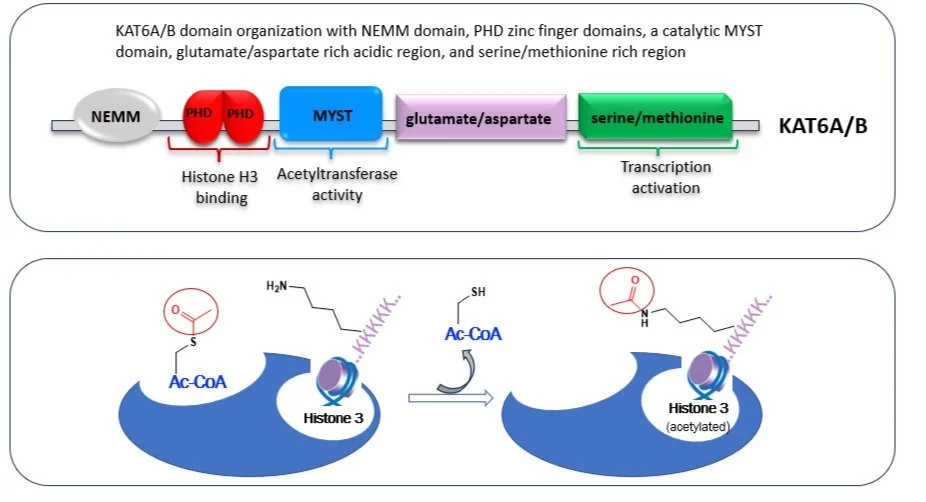General 1 — Isosterix.com