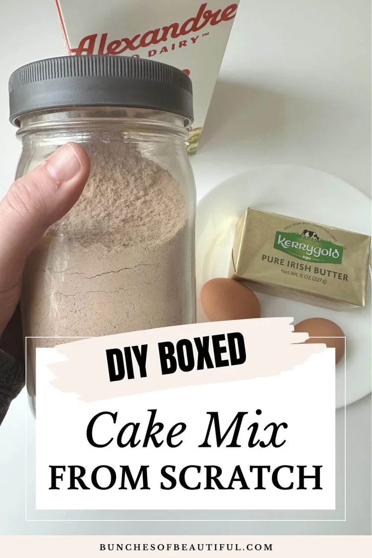 Homemade Cake Mix from Scratch (Chocolate + Vanilla Variations ...
