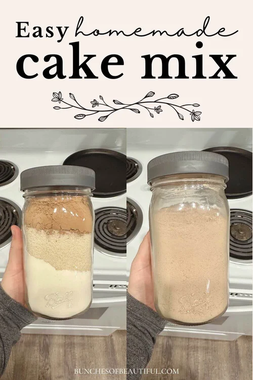 Homemade Cake Mix from Scratch (Chocolate + Vanilla Variations ...