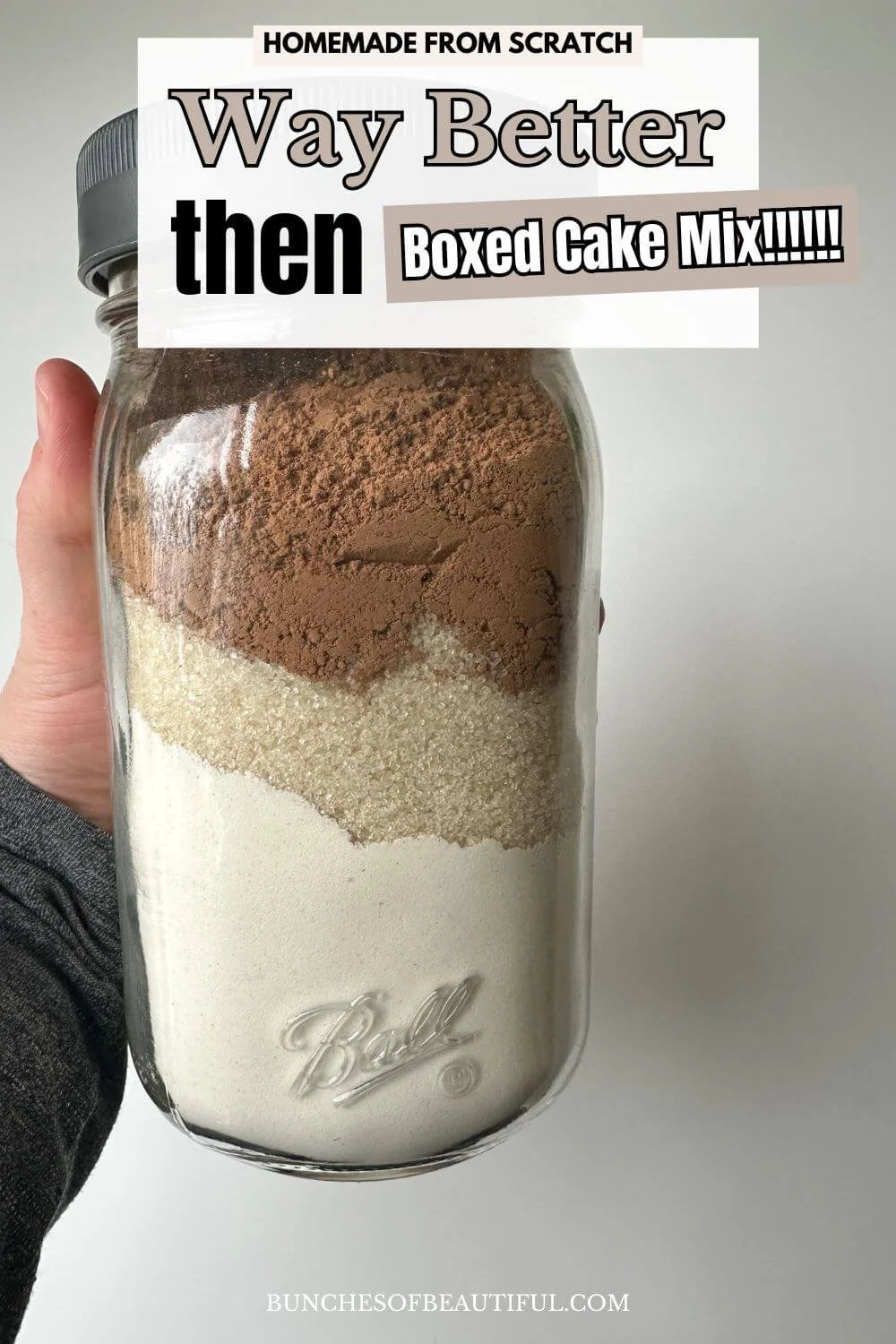 Homemade Cake Mix from Scratch (Chocolate + Vanilla Variations ...