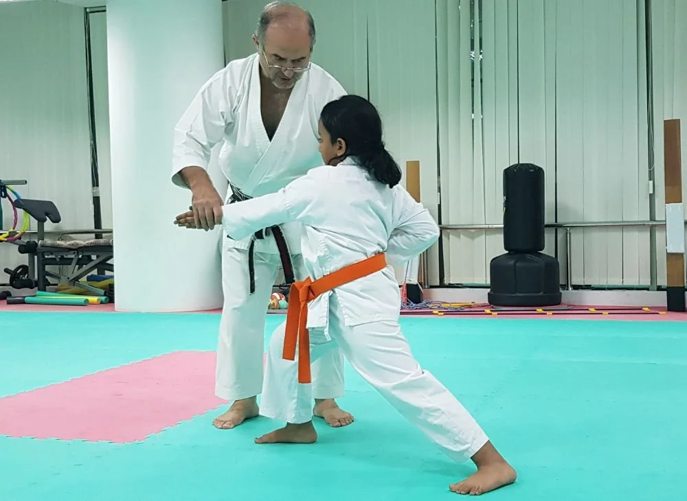 What is Karate — Traditional Martial Arts