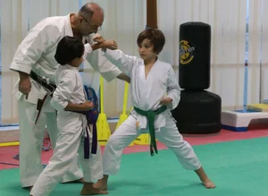 What is Karate — Traditional Martial Arts