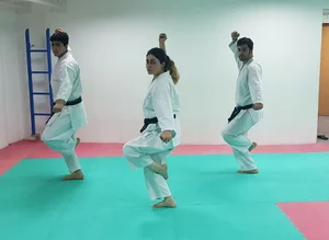 What is Karate — Traditional Martial Arts