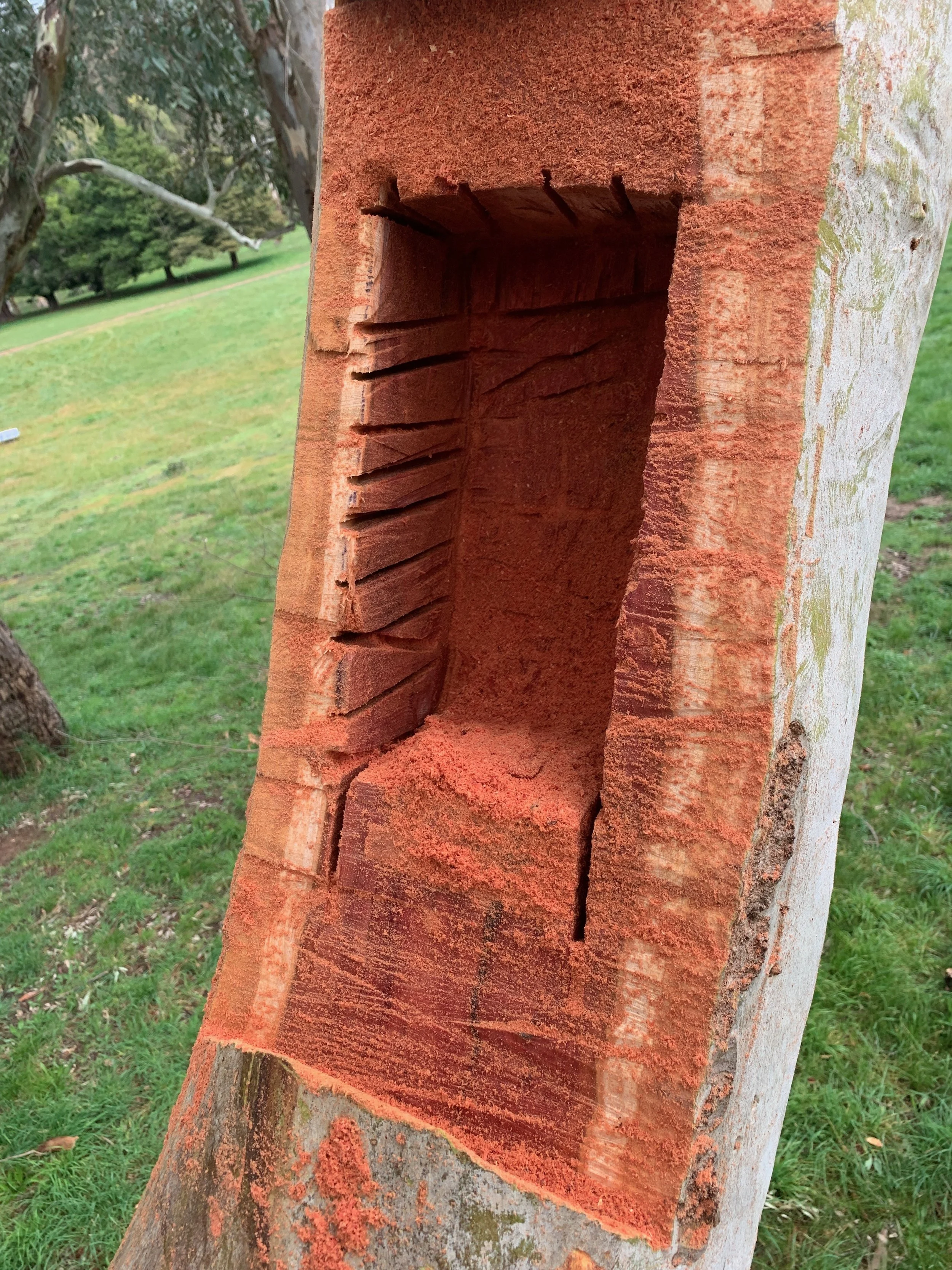 Services 2 — Eclipse Tree Care