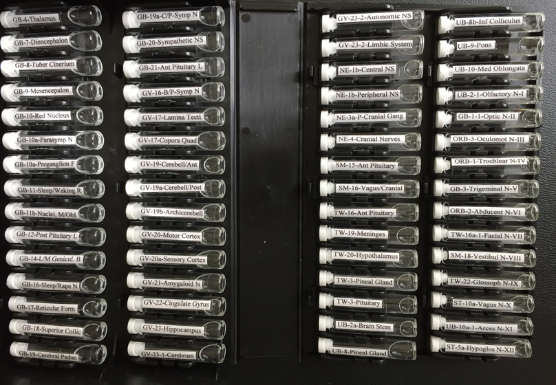 History of MFT — biofieldtesting.com