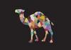 Camel: Inspiring Creativity — Nour Tohme