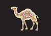 Camel: Inspiring Creativity — Nour Tohme