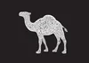Camel: Inspiring Creativity — Nour Tohme