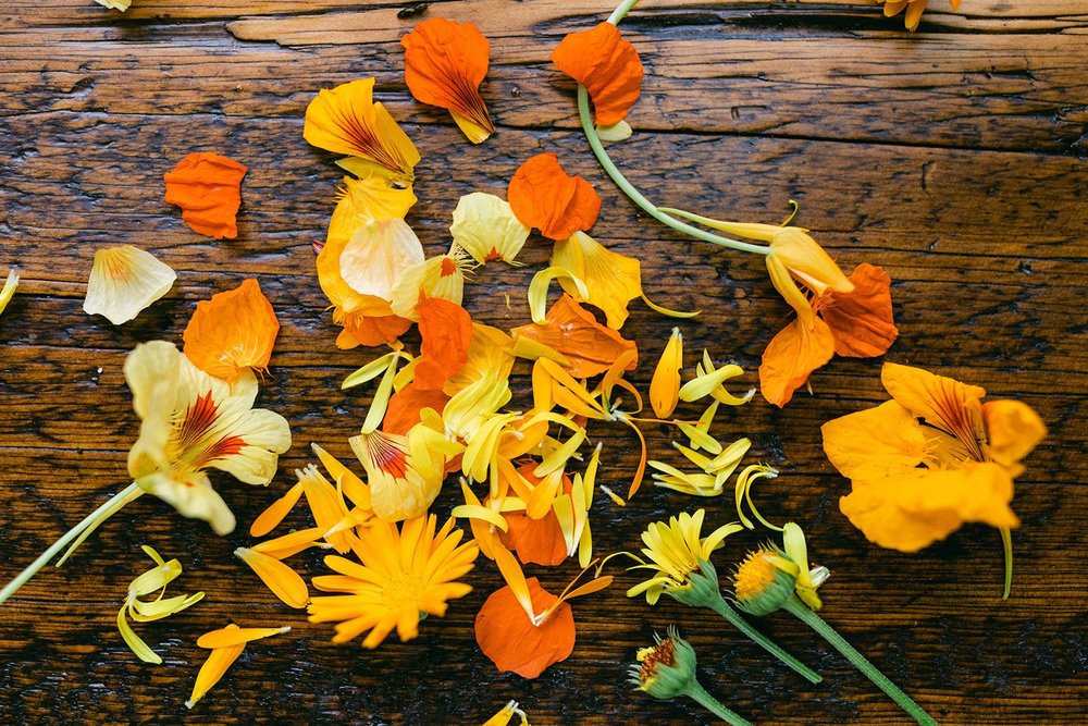 How to Grow Edible Flowers in Your Kitchen Garden — Katie Oglesby ...