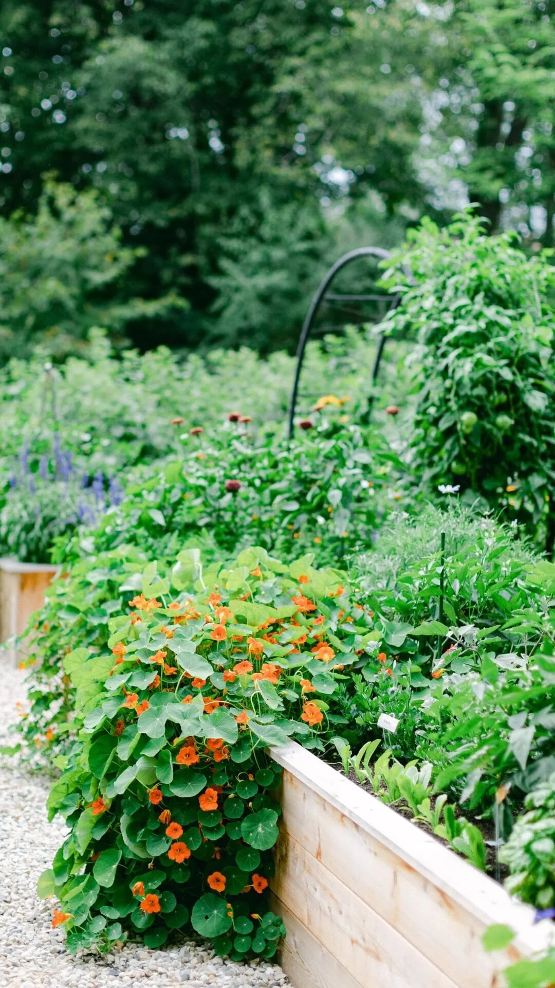 Custom Garden Design: Vego Garden — Katie Oglesby, Kitchen Garden ...