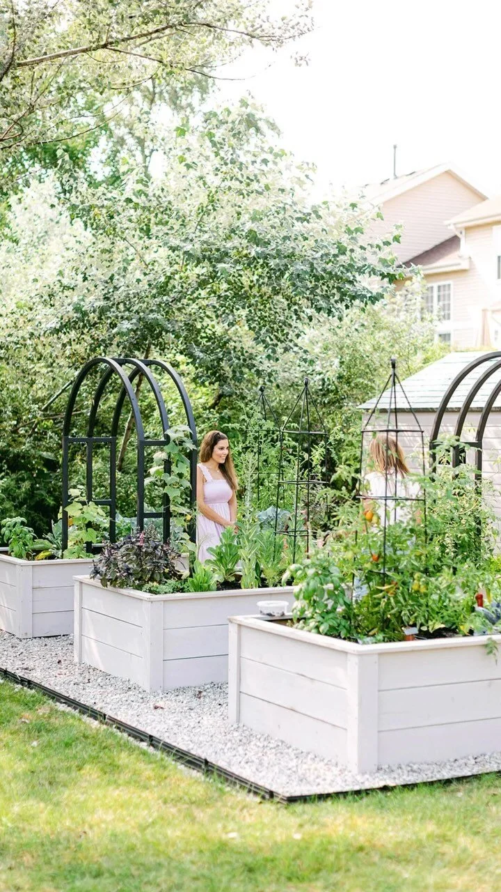 Custom Garden Design: Vego Garden — Katie Oglesby, Kitchen Garden ...