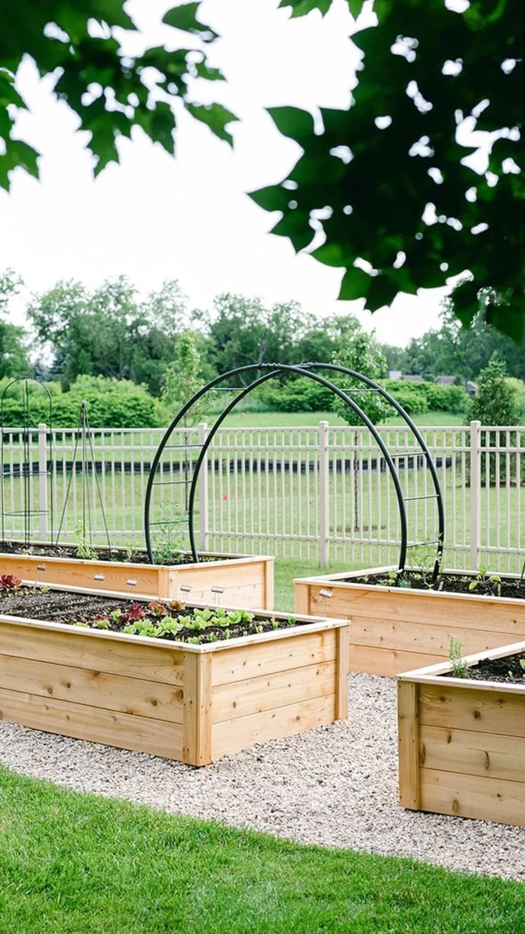 Custom Garden Design: Vego Garden — Katie Oglesby, Kitchen Garden ...