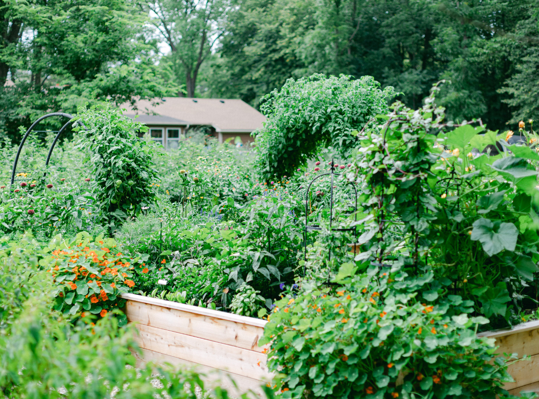 What is a Kitchen Garden? — Katie Oglesby, Kitchen Garden Design ...
