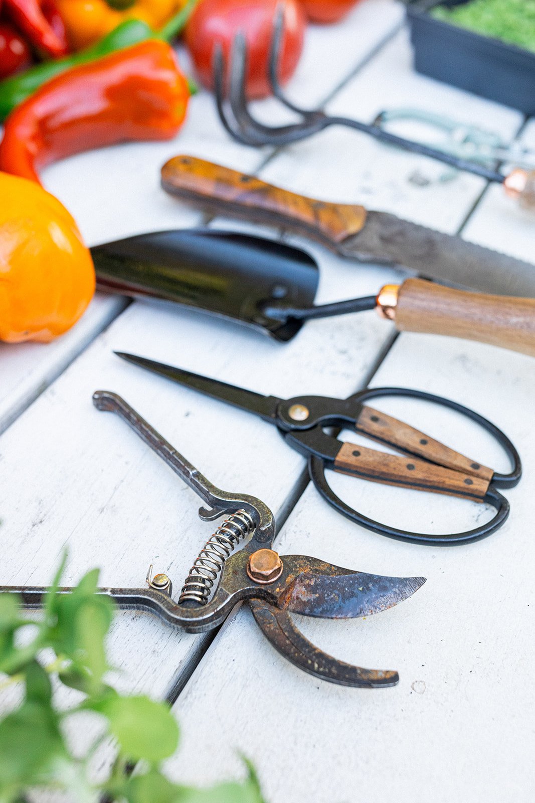 Your Fall Garden Clean-Up Checklist — Katie Oglesby, Kitchen Garden ...