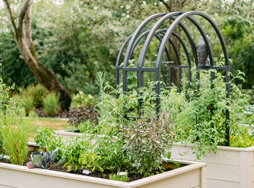 Custom Garden Design: Kitchen Garden Trio — Katie Oglesby, Kitchen ...