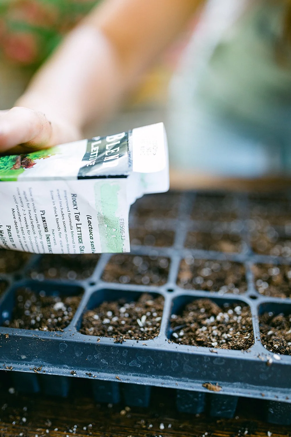 Seed Starting 101: Growing from Scratch — Katie Oglesby, Kitchen Garden ...