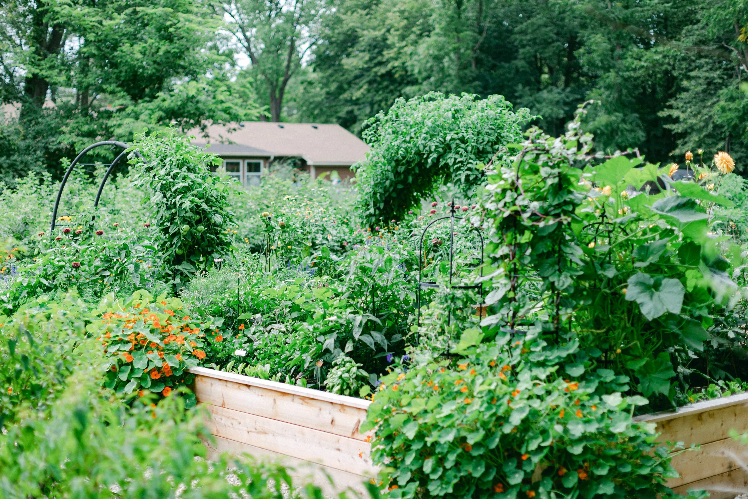 WHAT IS A KITCHEN GARDEN? — Katie Oglesby, Kitchen Garden Design ...