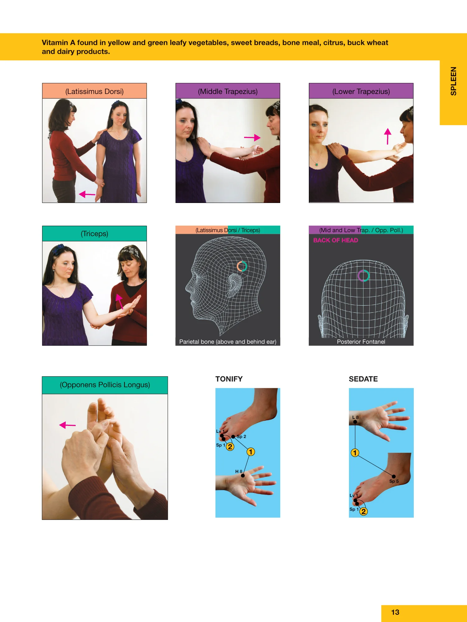 TOUCH FOR HEALTH - A PRACTICAL GUIDE by Jo Rose — Helena Arguelles