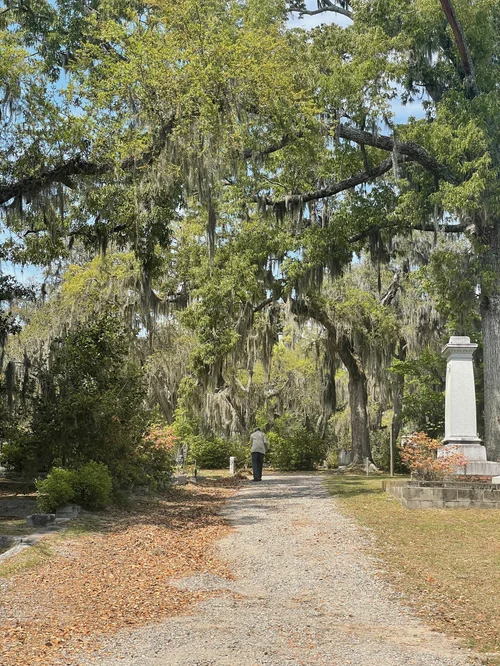 Bonaventure Cemetery — The Grim