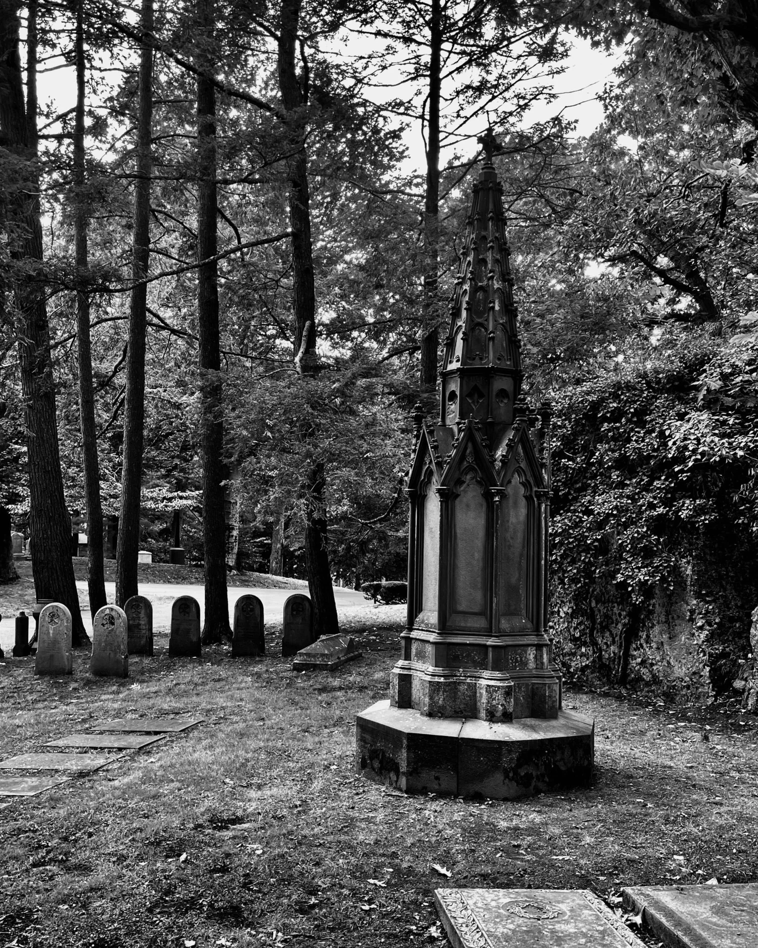 Taphophilia — The Grim