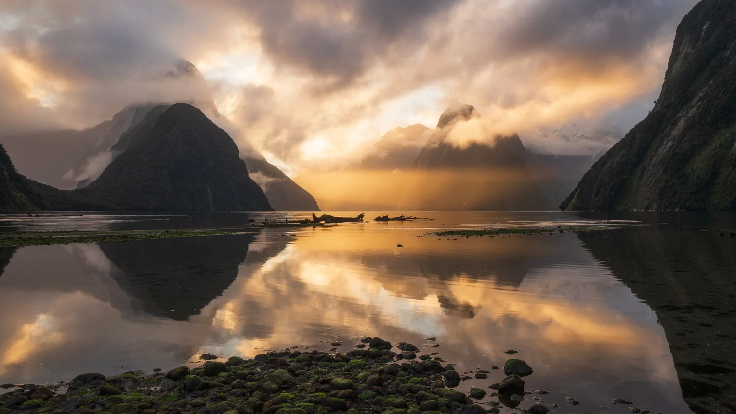 New Zealand South Island Photography Tour with Erin Jacob