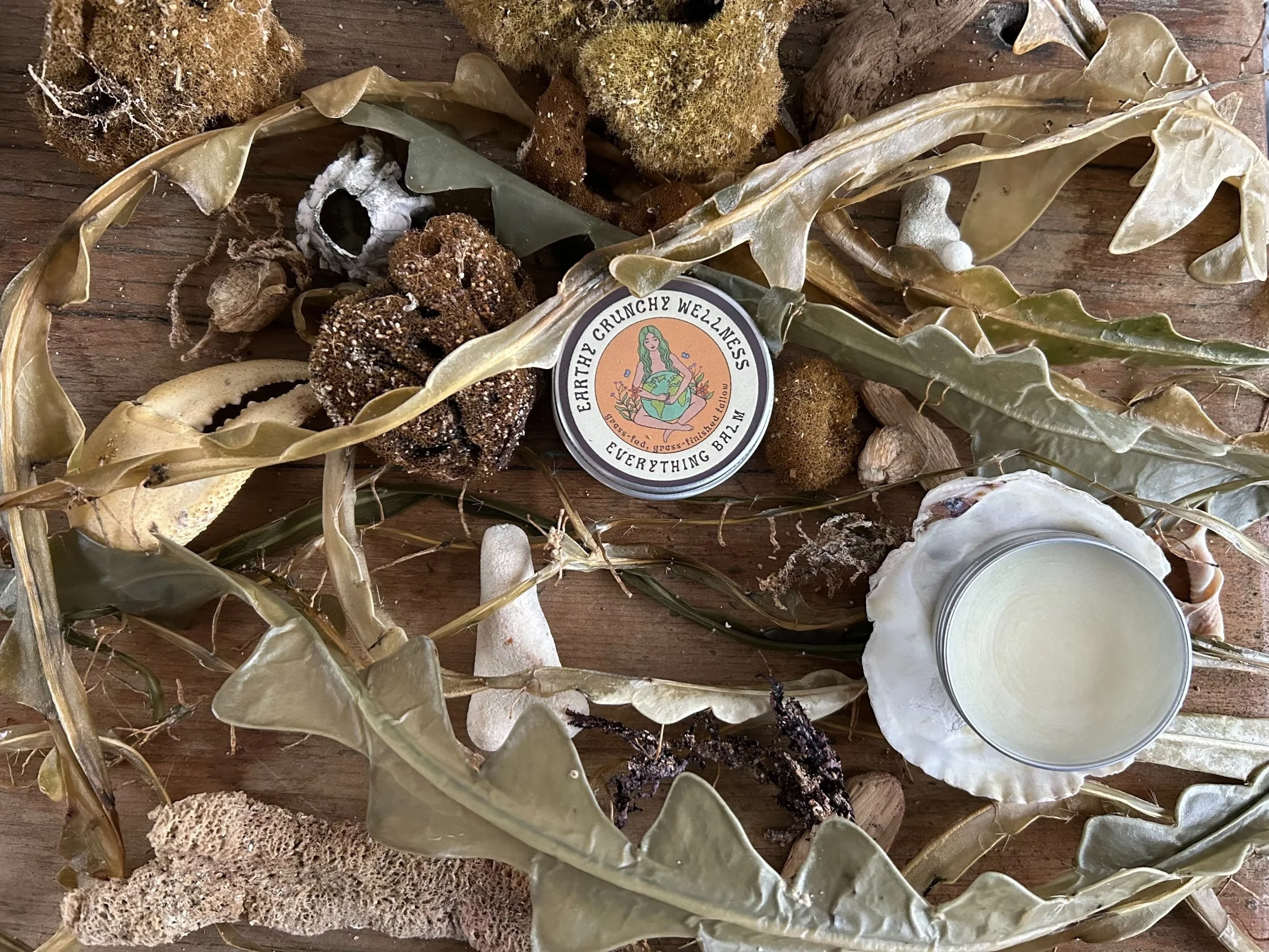 Our Story — Earthy Crunchy Wellness