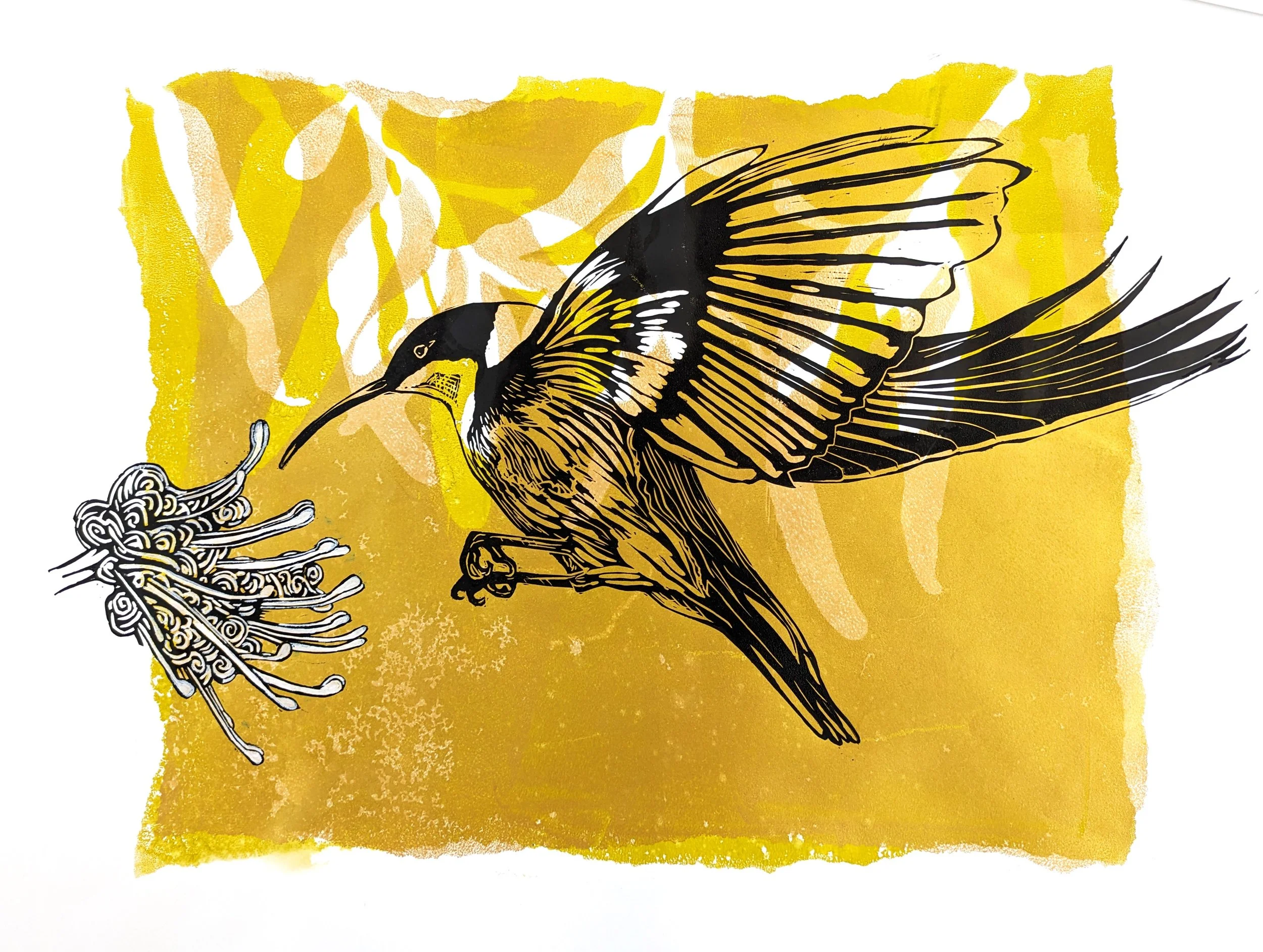 About | Explore Art Workshops Today — Jane Louise Evans Kangaroo Island ...