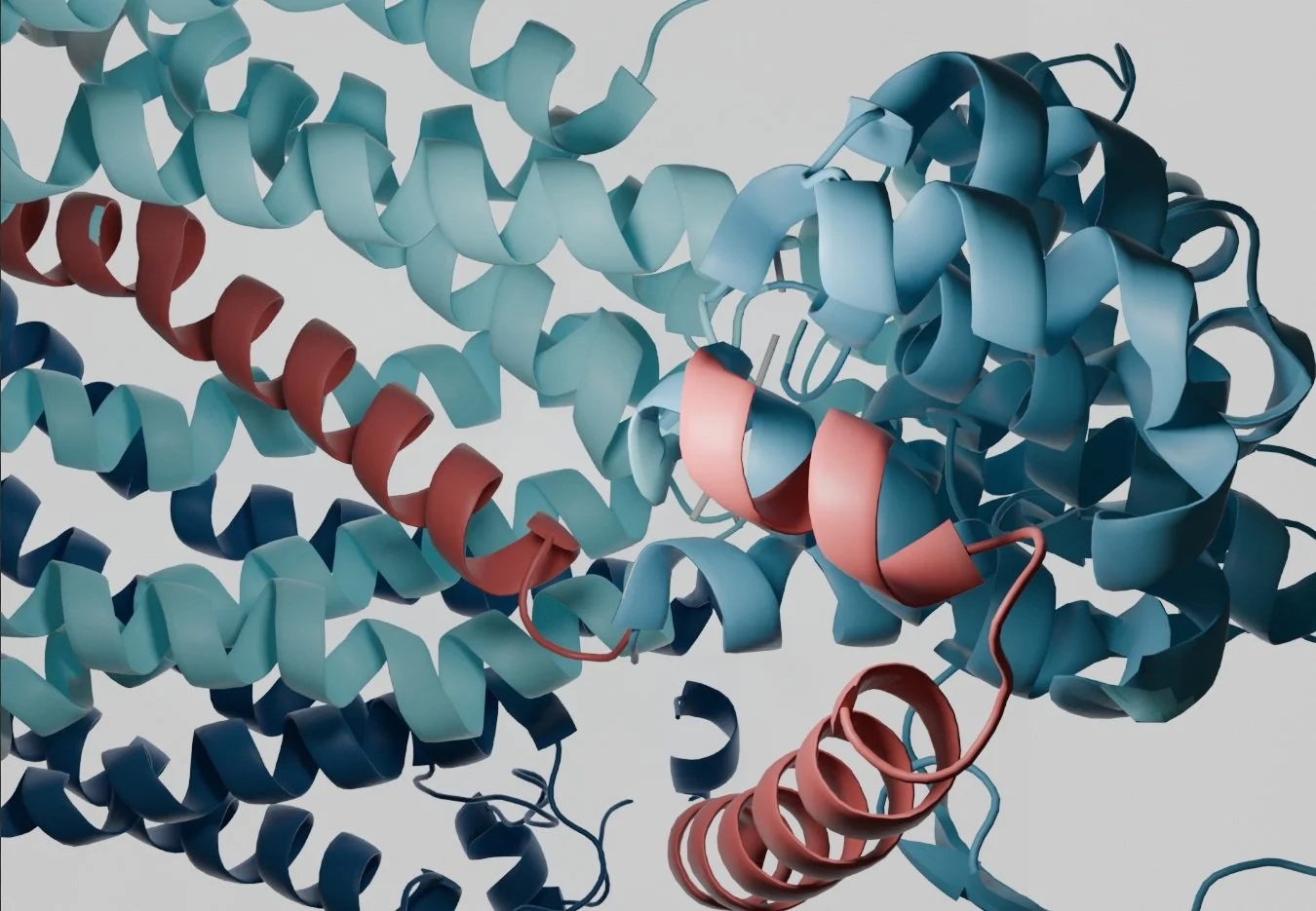 Pipeline — Pentixapharm