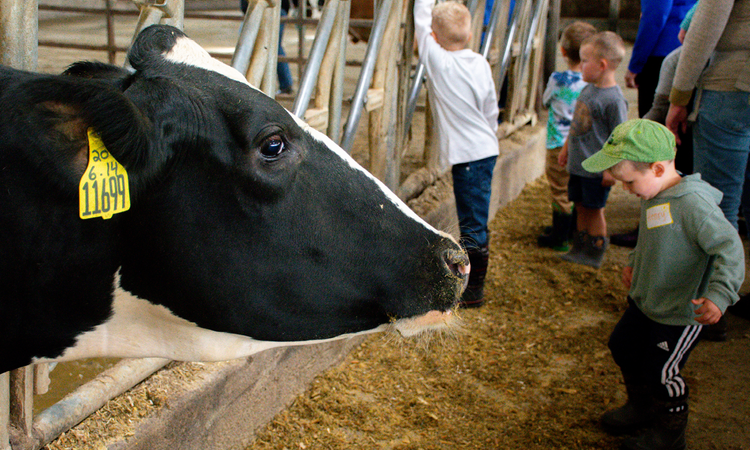 Visit — Dairy Discovery