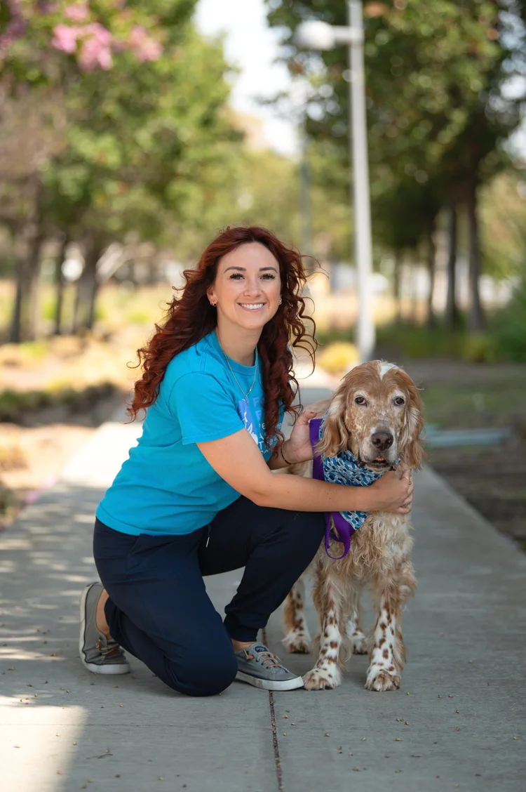 About Us — Furry Friends