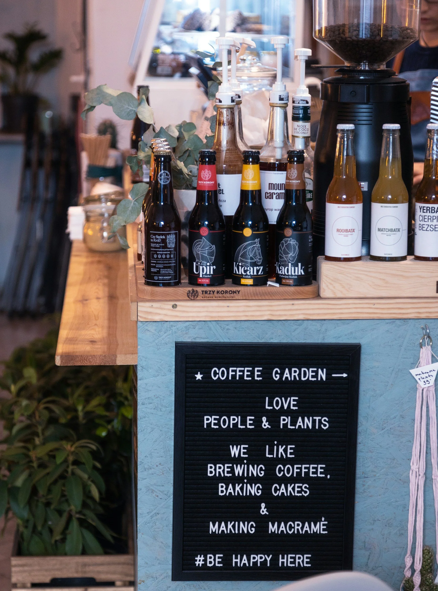 What to Do in Kraków in Spring (Beyond the Old Town) — Trippers Terminal