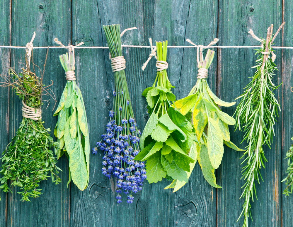 About 1 — 'Uhane Wellness