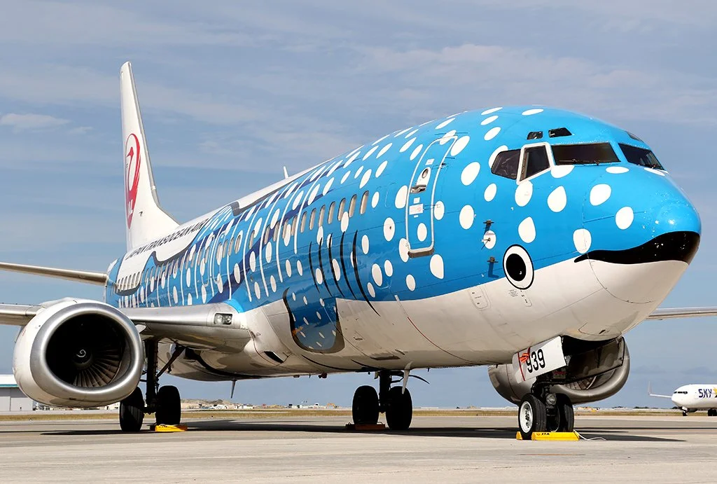 Adding Liveries to ProSim737 Flight Model — Flaps 2 Approach - Boeing ...