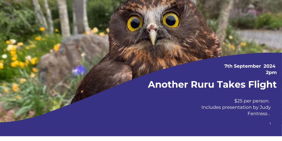 Ruru Takes Flight — The Sculpture Park at Waitakaruru Arboretum | Art ...