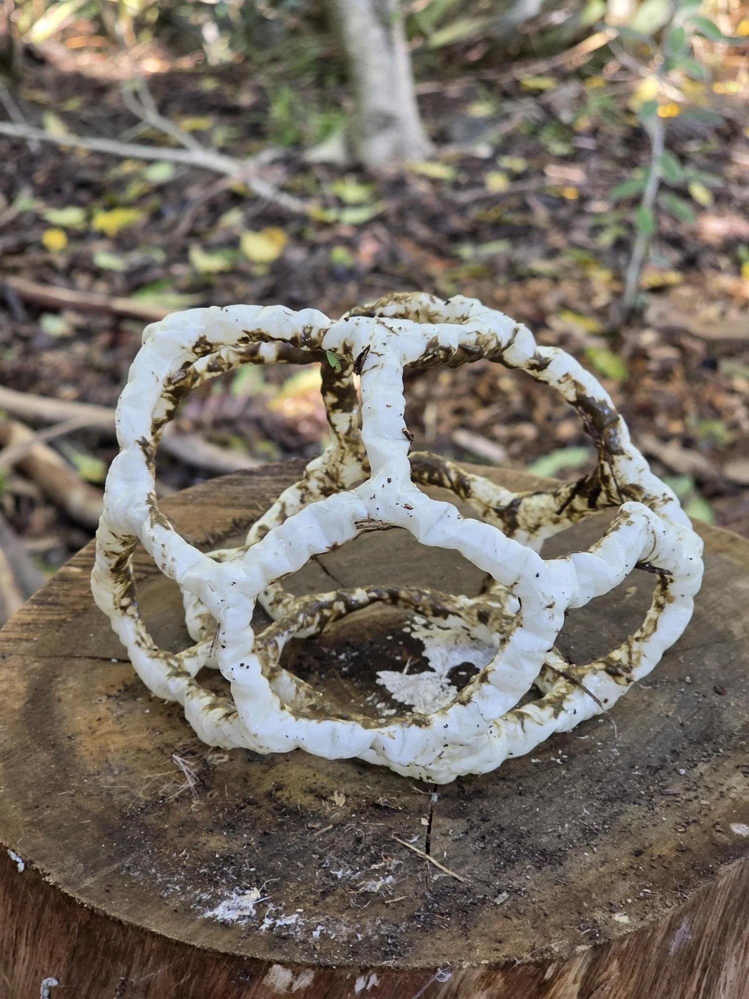 The Sculpture Park at Waitakaruru Arboretum | Art-in-Nature Arboretum Trust